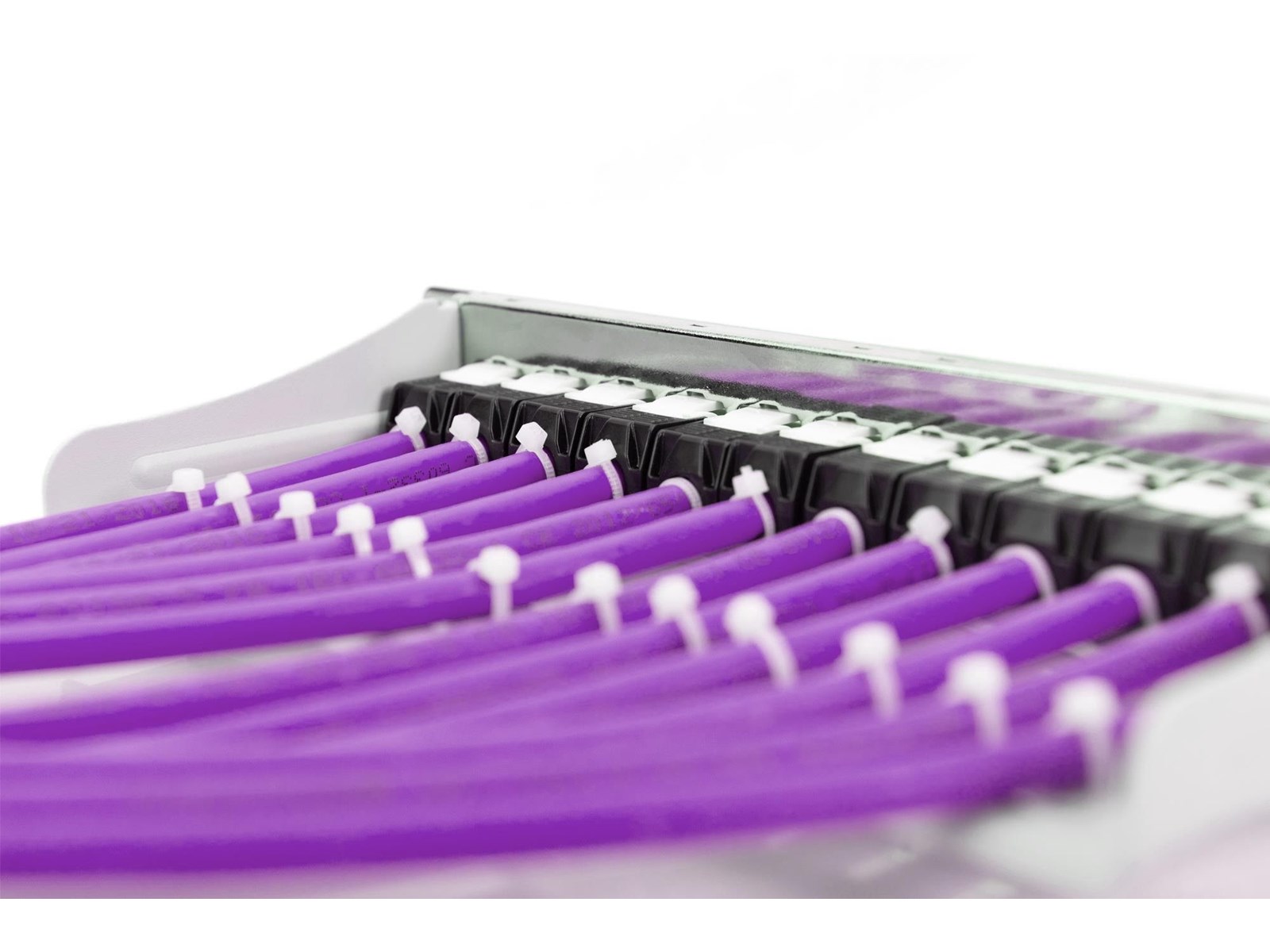 DIGITUS CAT 6 U-UTP Installation Cable - 100m - Purpur - 100 meter