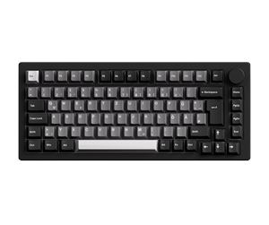 Akkogear Monsgeek M1 V5 VIA Black & Silver - Akko Rosewood ...